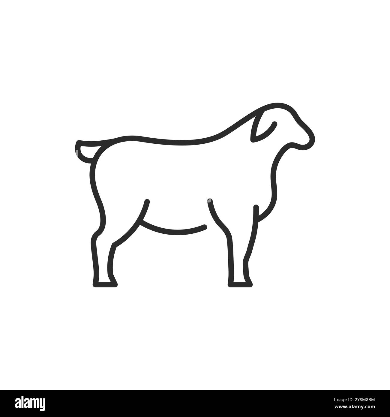 Sheep with mane Black and White Stock Photos & Images - Alamy