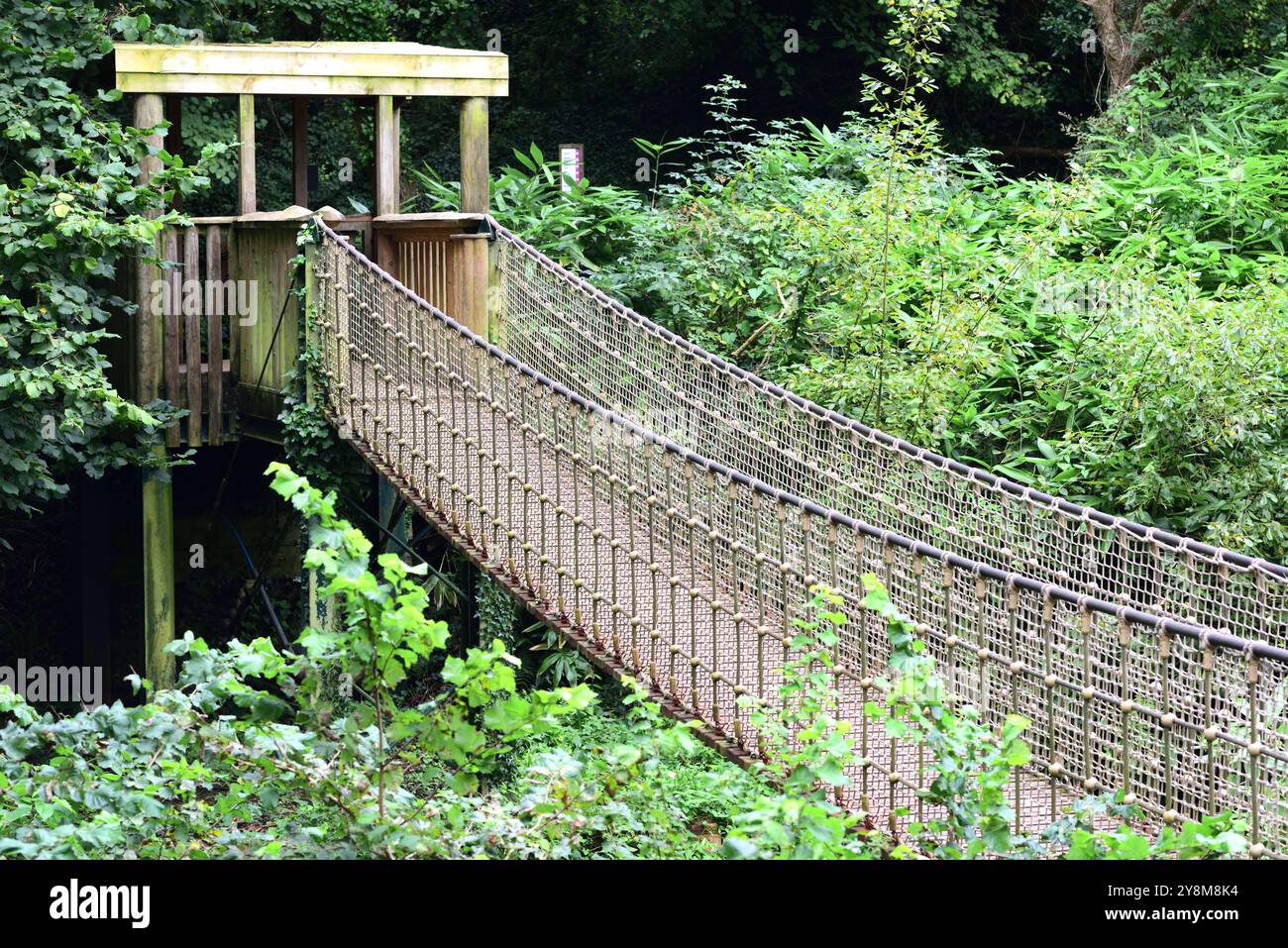 Rope_bridge hi-res stock photography and images - Alamy