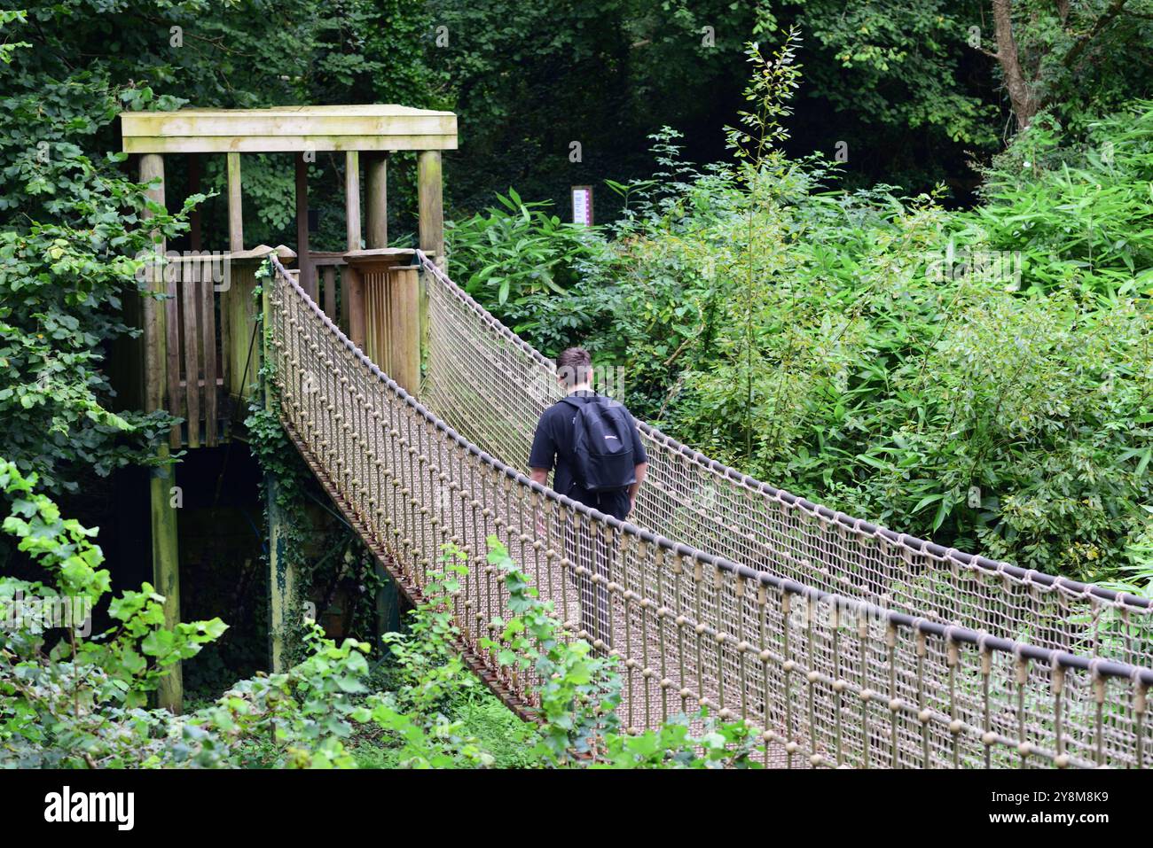 Rope_bridge hi-res stock photography and images - Alamy