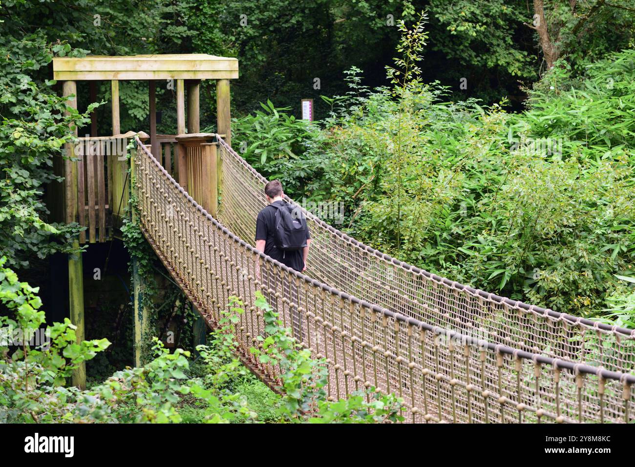 A rope bridge at Paignton Zoo Stock Photo - Alamy