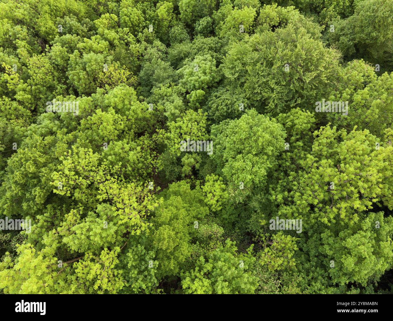 Politic photos hi-res stock photography and images - Alamy