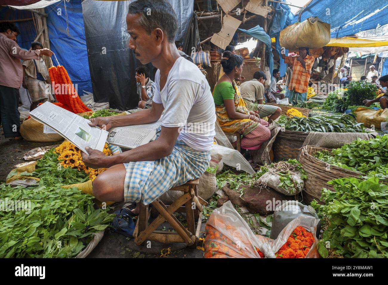 Vendor reading newspaper, fruit, vegetable and flower market, Howrah ...