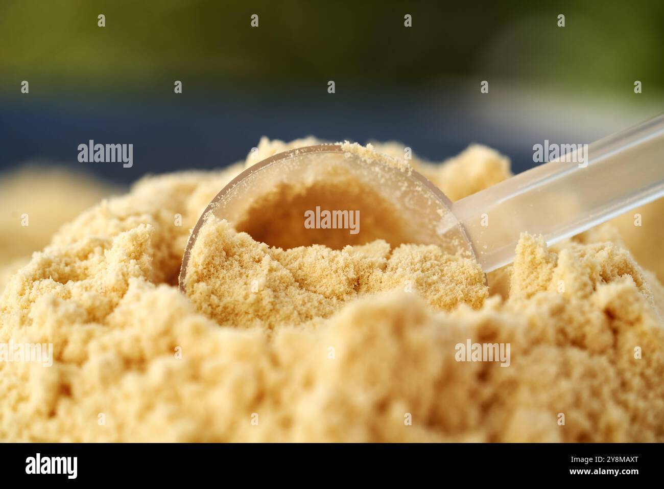 Whey protein powder in a plastic measuring cup. Healthy nutritional ...