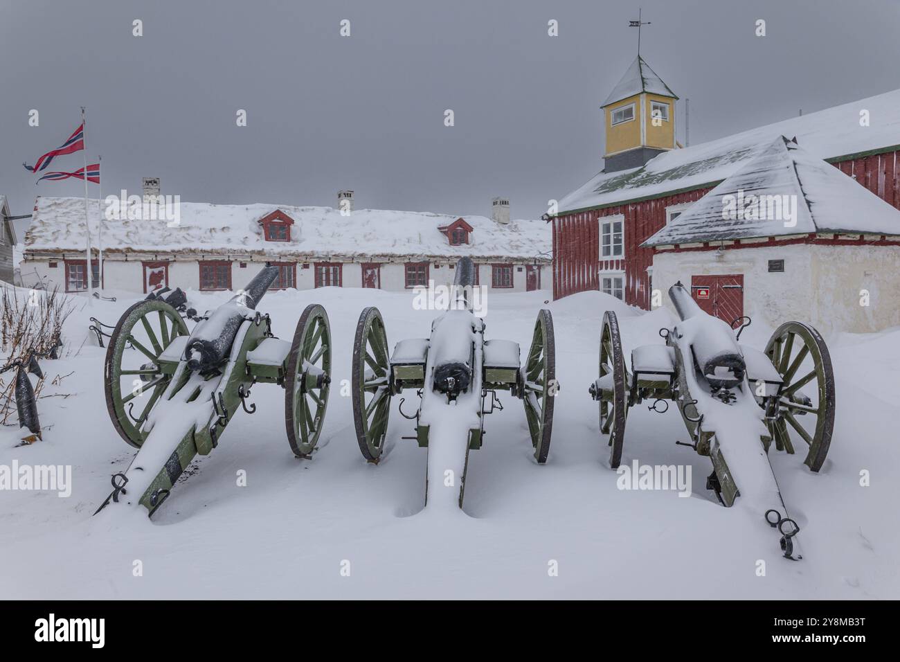 Historical cannons, building, war museum, snow, wind, snowstorm ...