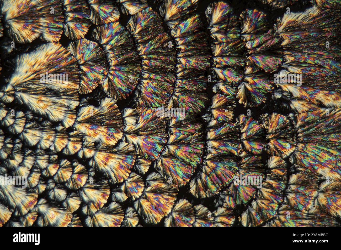 Vitamin C under the microscope and in polarised light Stock Photo - Alamy