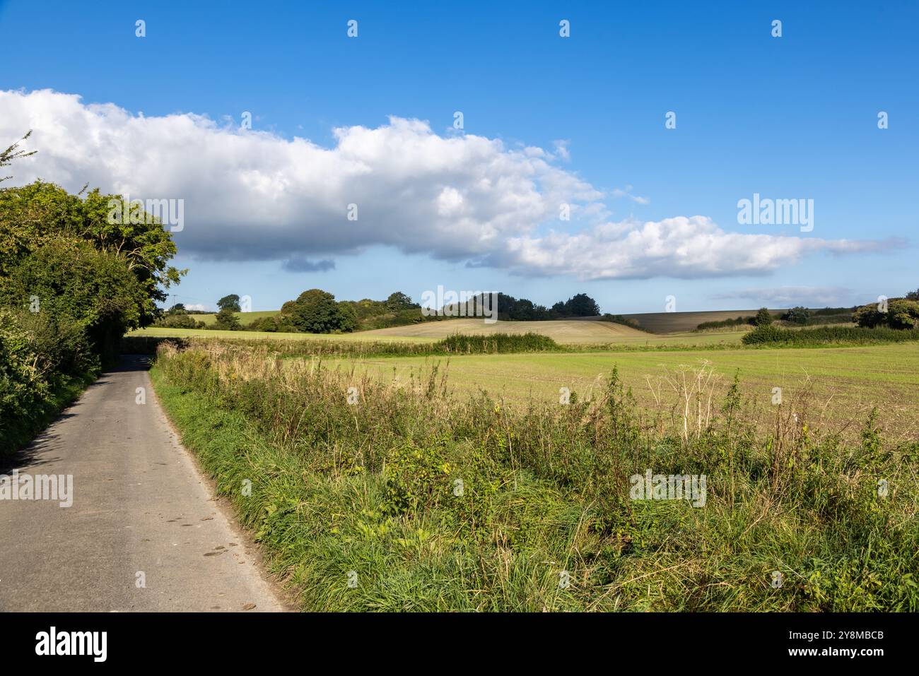 A rural Sussex landscape with a narrow road running alongside fields ...