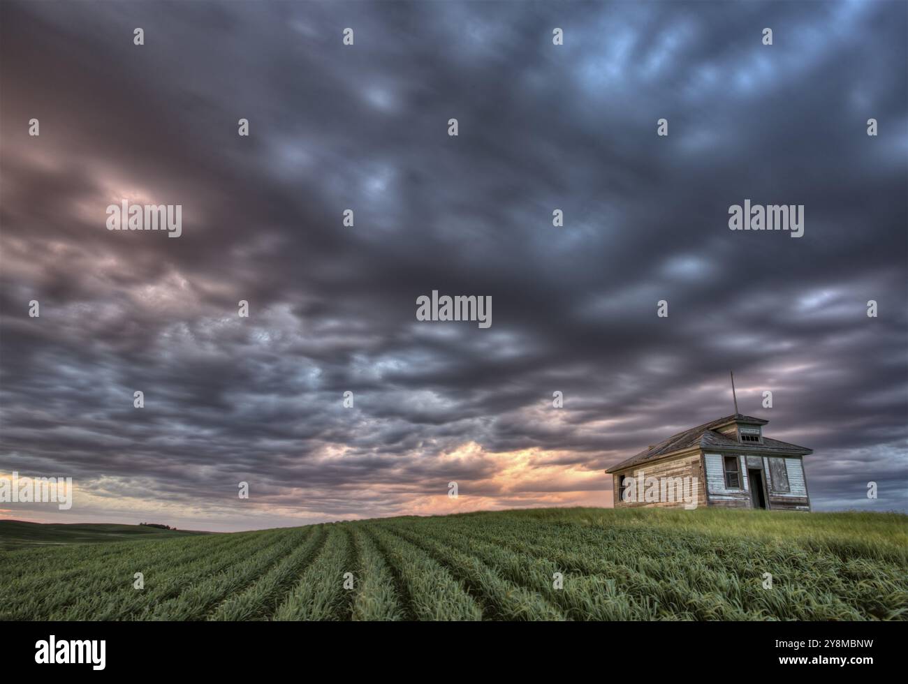 Sunset and durum wheat crop storm clouds Stock Photo - Alamy