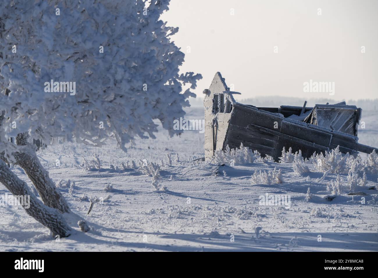 Blizzard [prairies winter storm] hi-res stock photography and images ...
