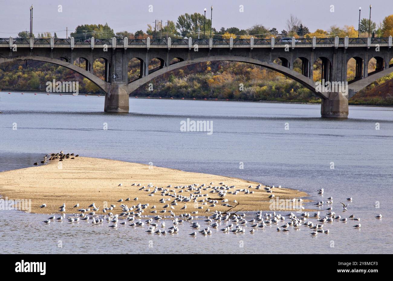 Outlook saskatchewan hi-res stock photography and images - Alamy