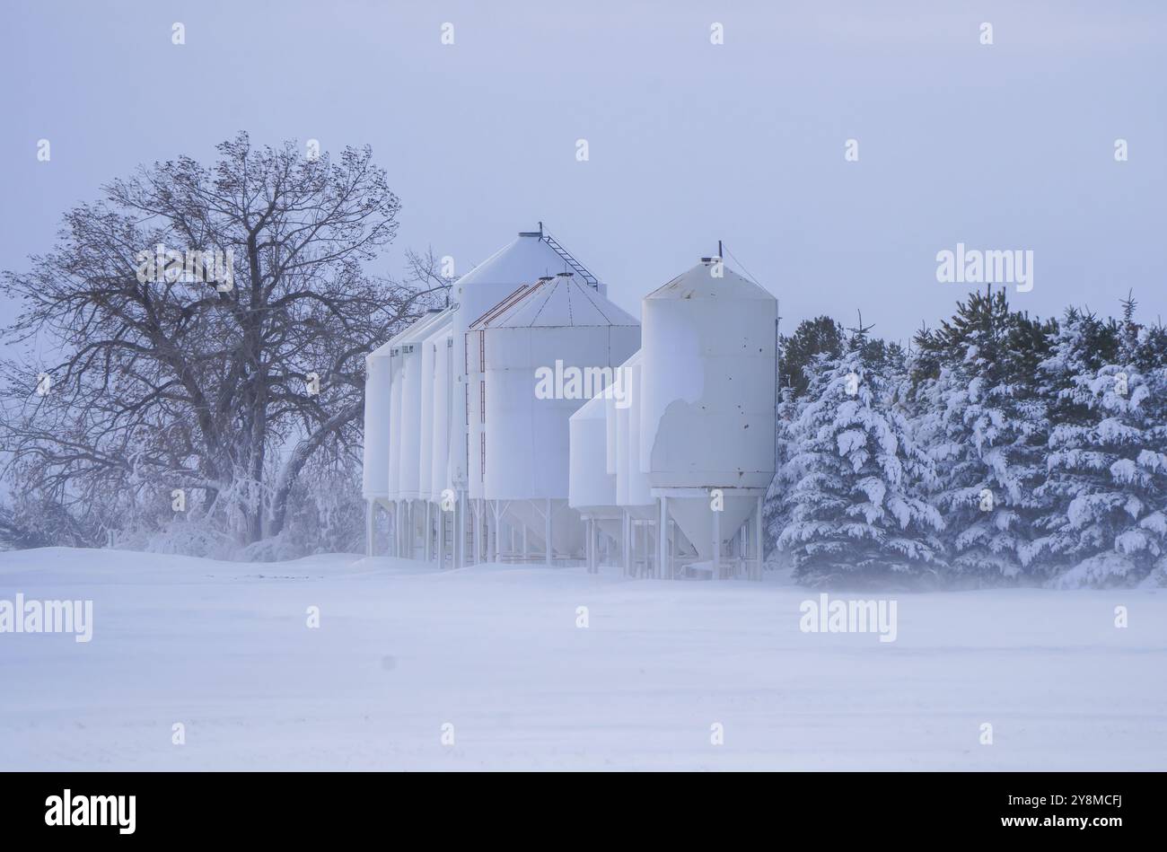 Blizzard [prairies winter storm] hi-res stock photography and images ...