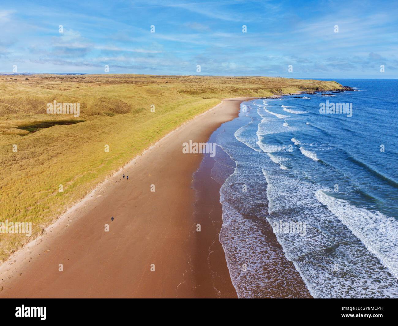The beach and sand dunes at Forvie Nature Reserve near Cruden Bay ...