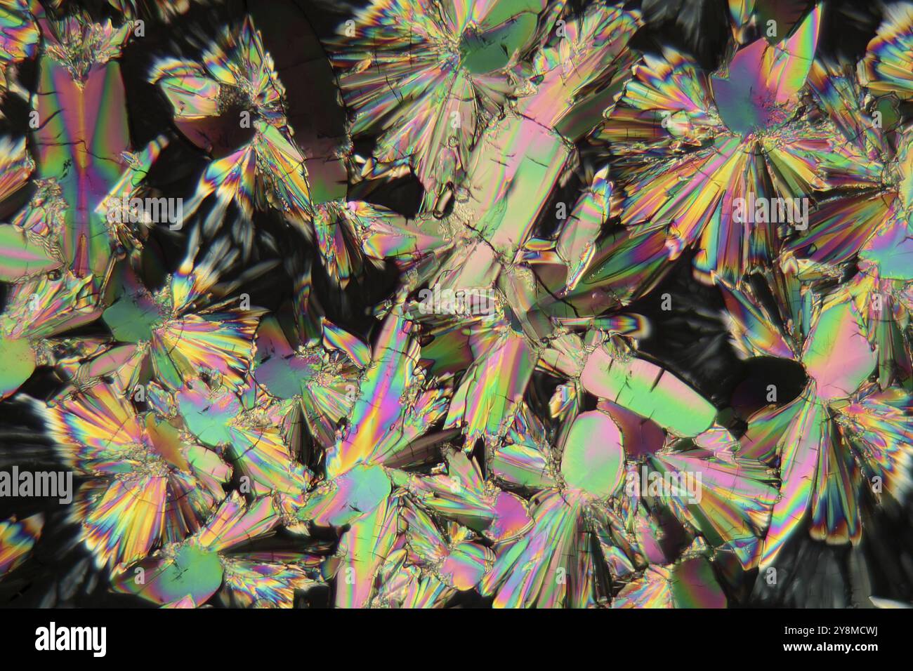 Malic acid under the microscope, Malic acid under the microscope ...