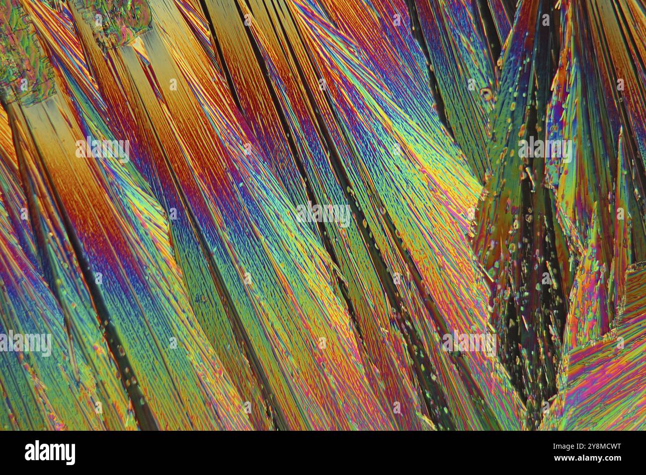 Lanthanum nitrate crystals under the microscope (100x magnification ...