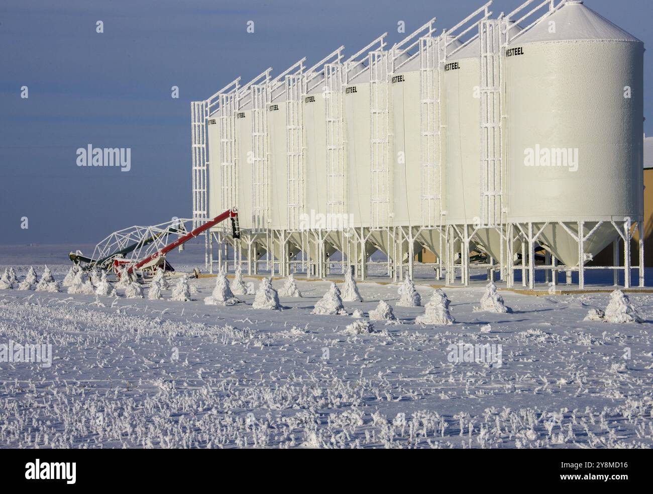 Winter Frost Saskatchewan Canada ice storm danger Stock Photo - Alamy