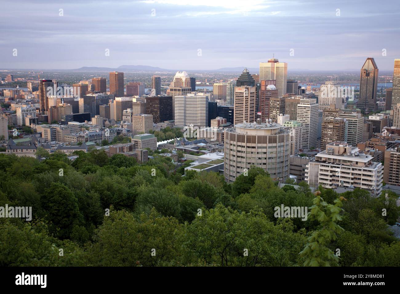 Panoramic Photo Montreal city fron Mount Royal Stock Photo - Alamy