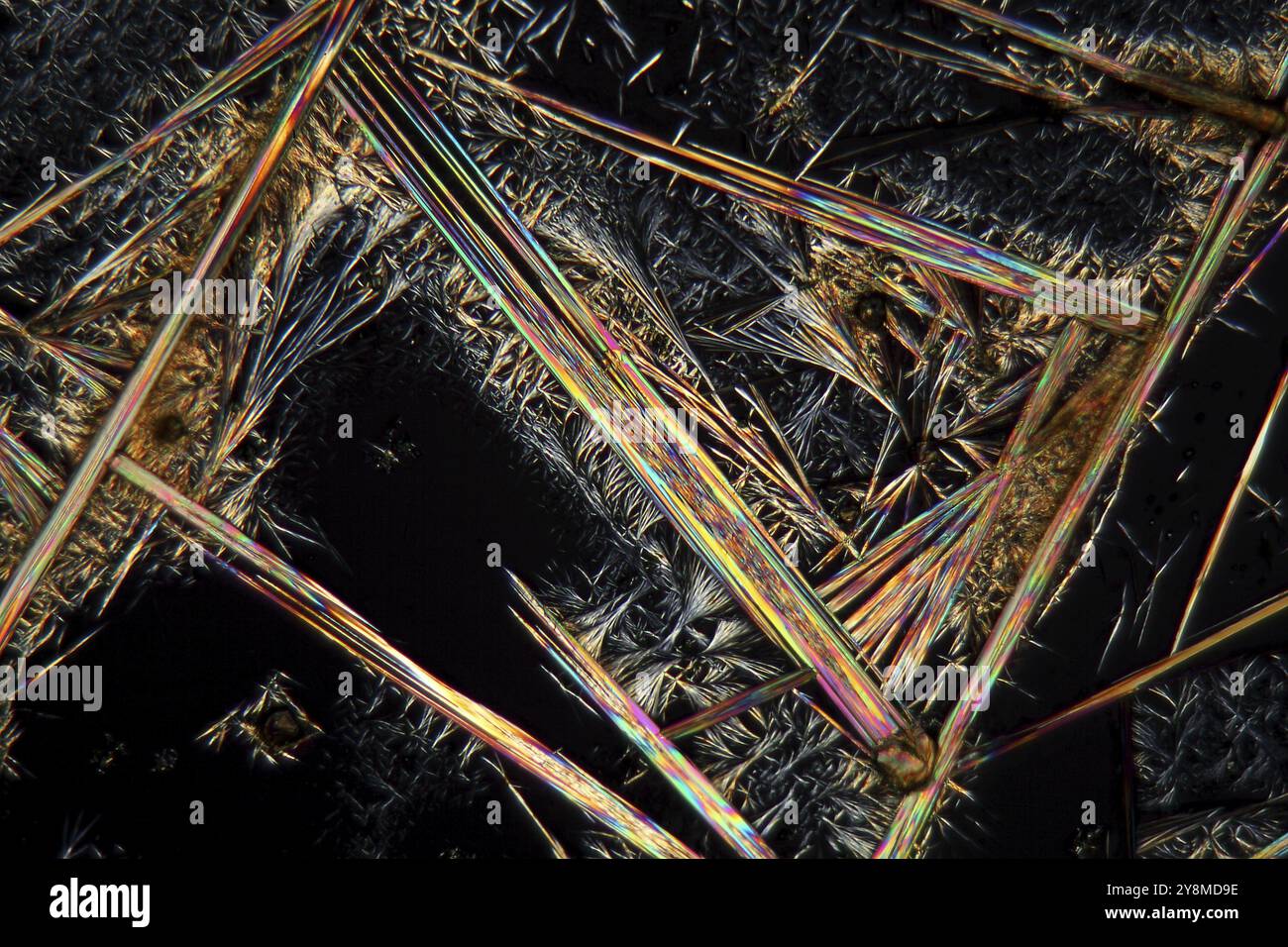 Caffeine crystals under the microscope (magnification 250x and ...