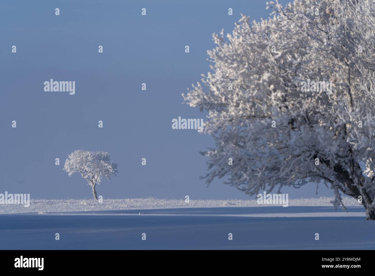Blizzard [prairies winter storm] hi-res stock photography and images ...