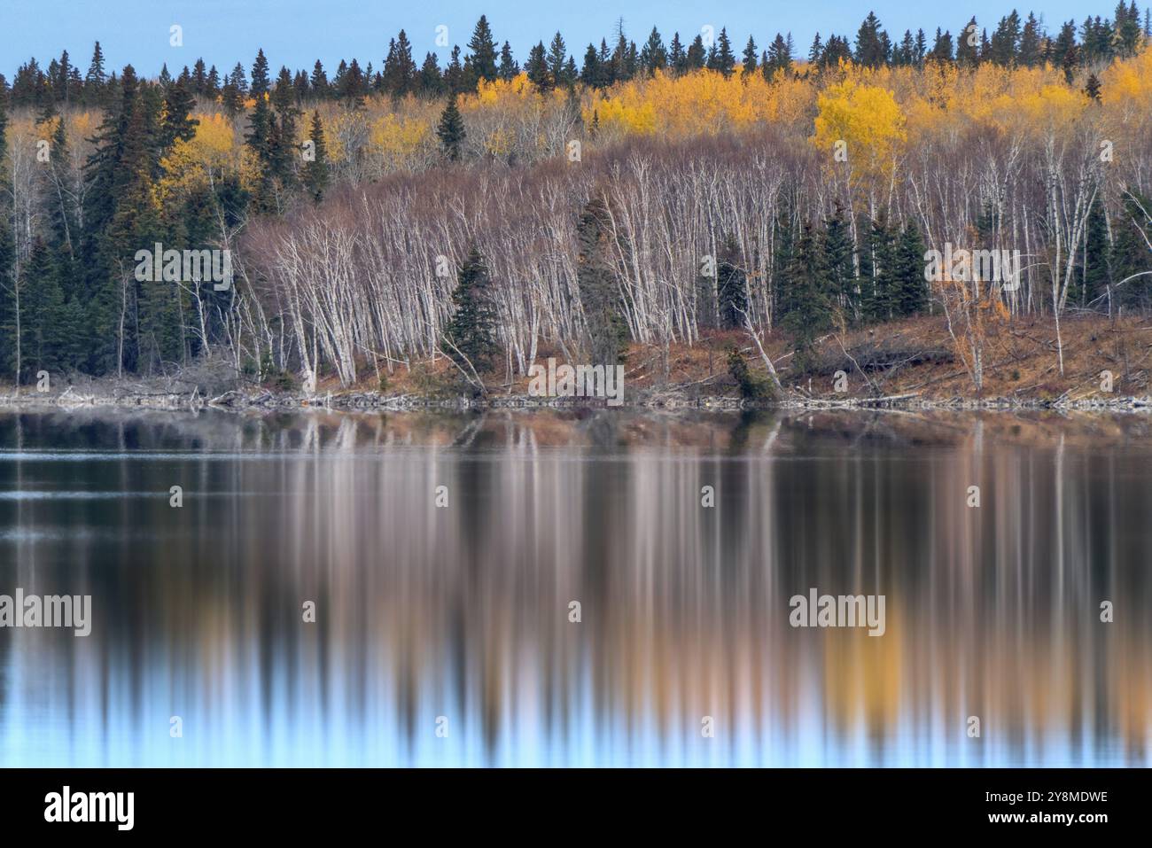 Fall foliage orange colors in the Canadian Prairies Stock Photo - Alamy
