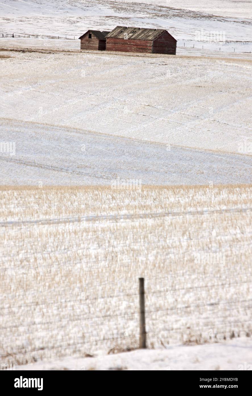Alberta Buildings and Field in Winter with fence Stock Photo - Alamy
