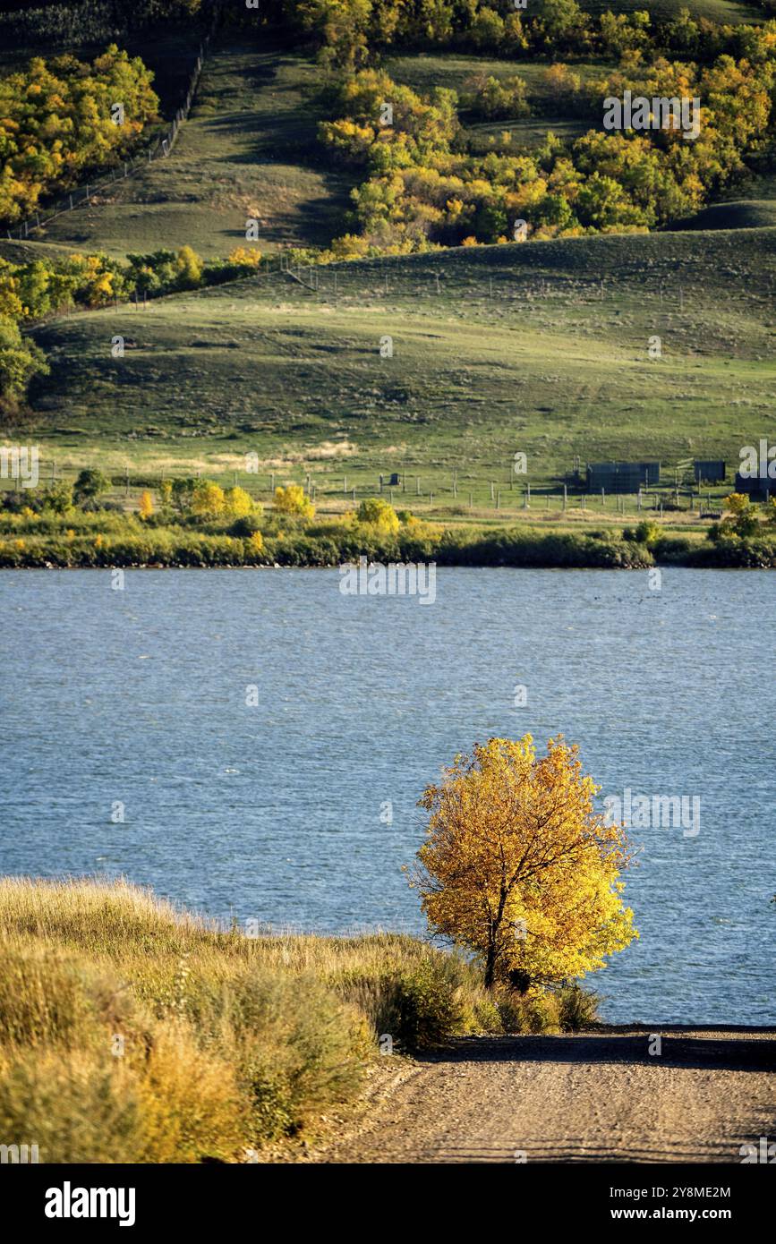 Prairie colors in fall yellow orange trees colorful Stock Photo - Alamy