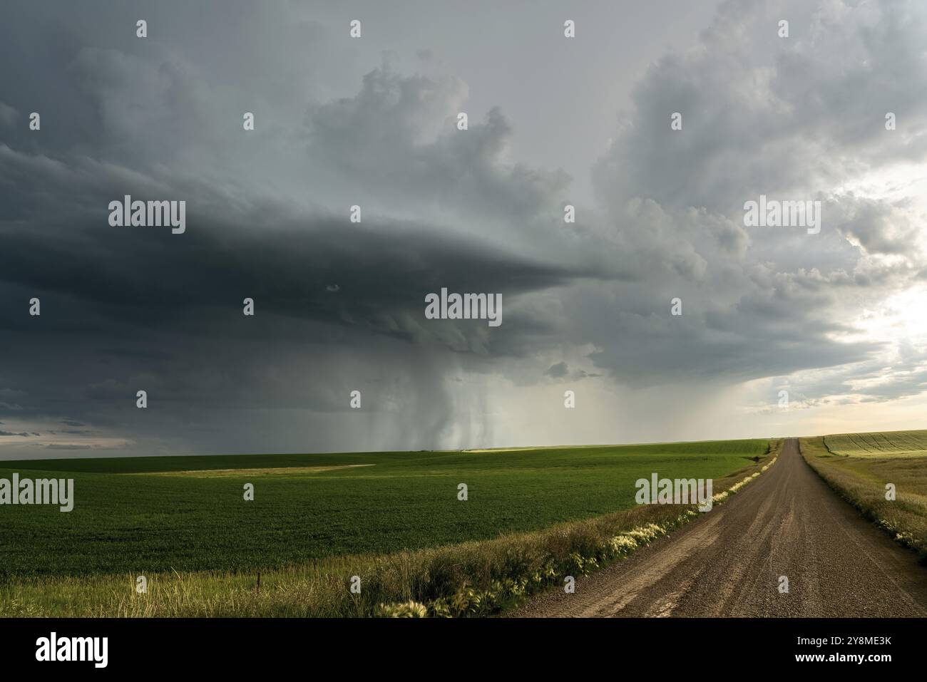 Summer Storms in the Canadian Prairies Dramatic Scenes Stock Photo - Alamy