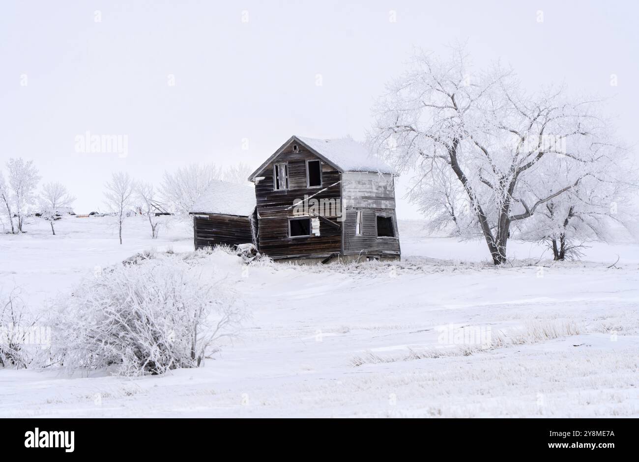 Blizzard [prairies winter storm] hi-res stock photography and images ...