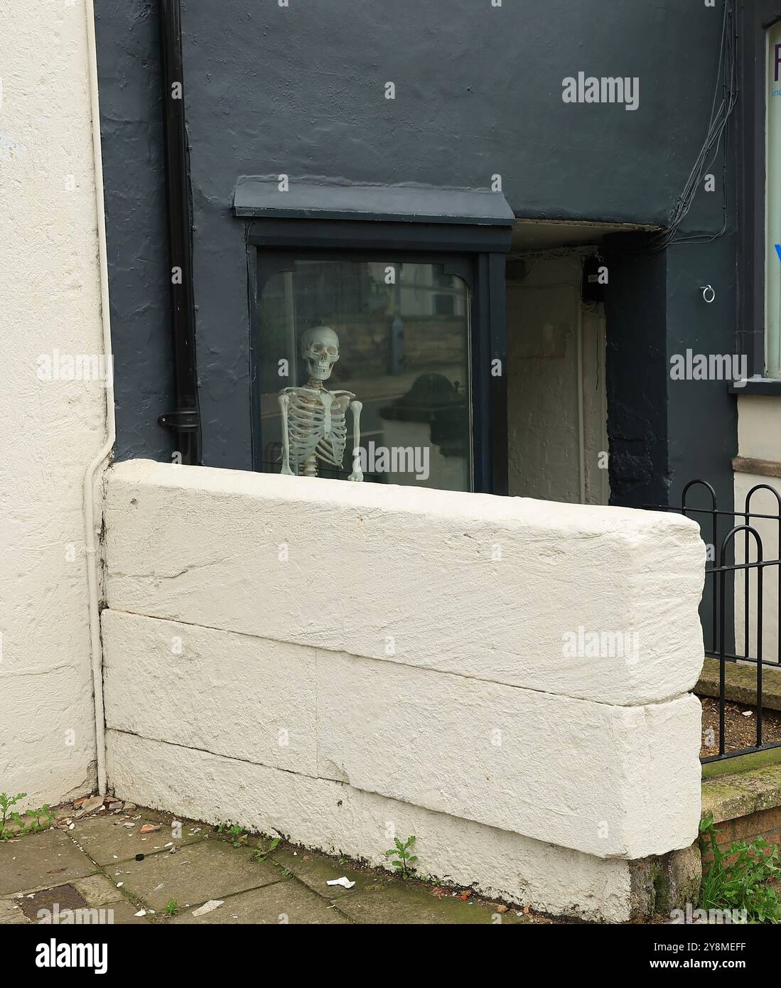 Skeleton in a glass window display getting ready for Halloween 2024 ...