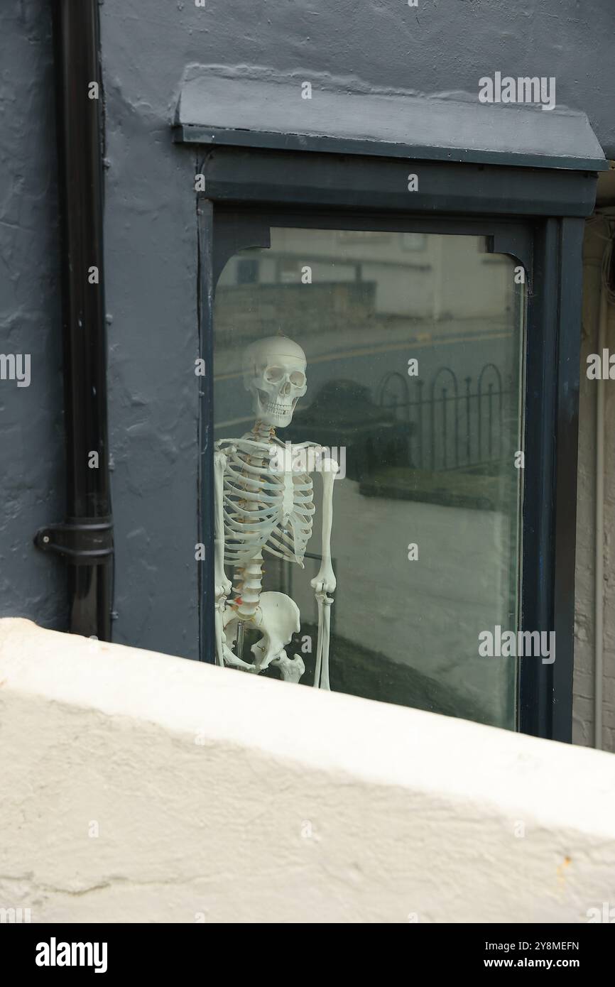 Skeleton in a glass window display getting ready for Halloween 2024 ...