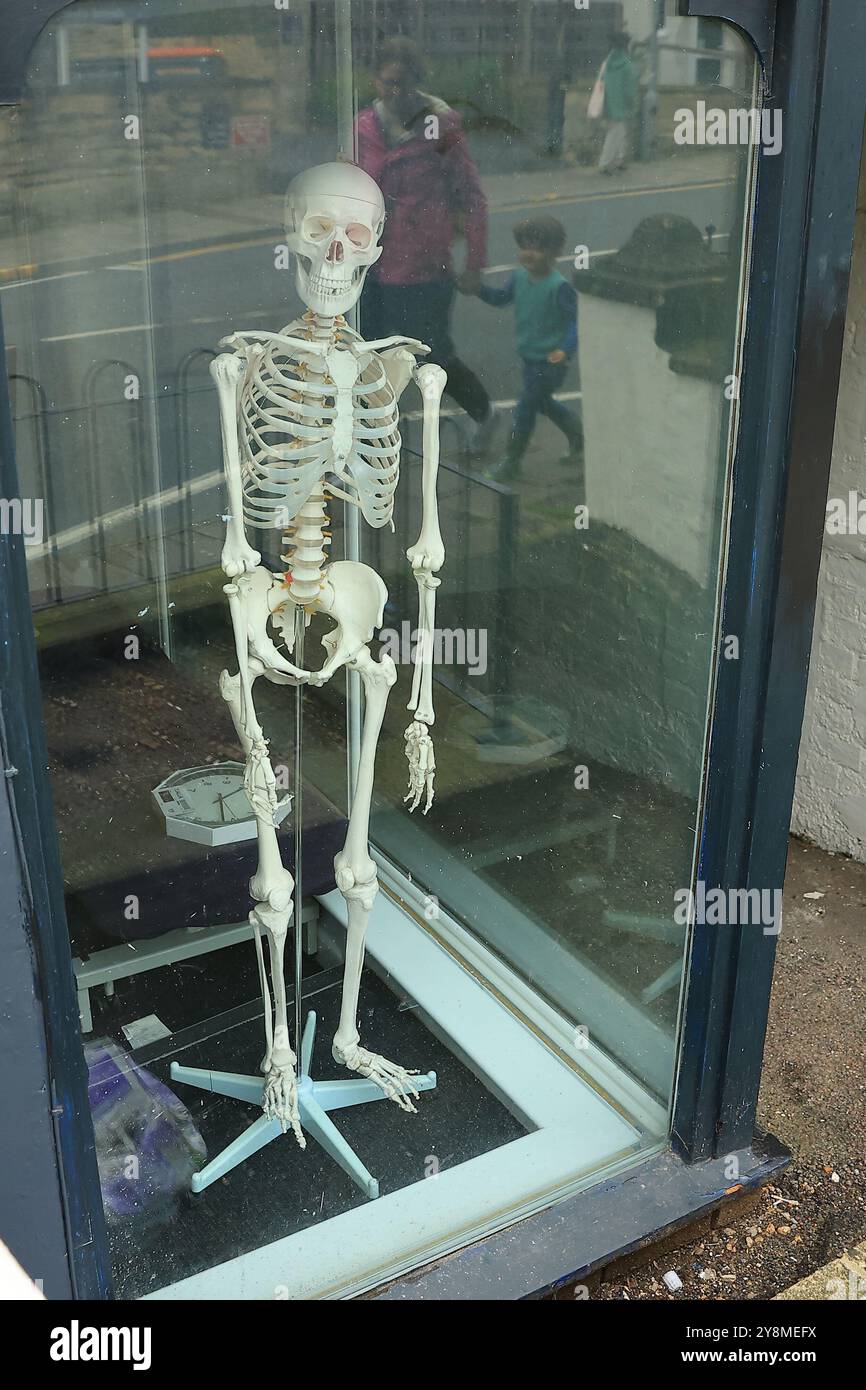 Skeleton in a glass window display getting ready for Halloween 2024 ...
