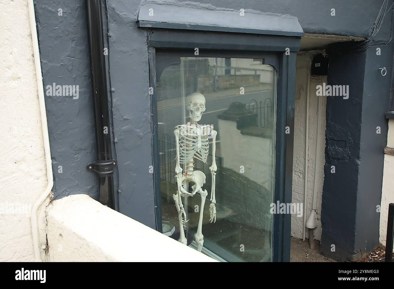 Skeleton in a glass window display getting ready for Halloween 2024 ...