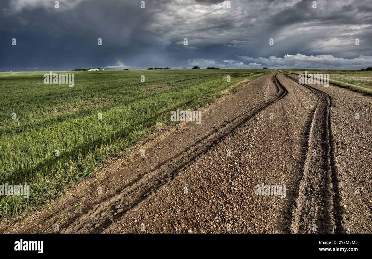 Mud ruts hi-res stock photography and images - Alamy