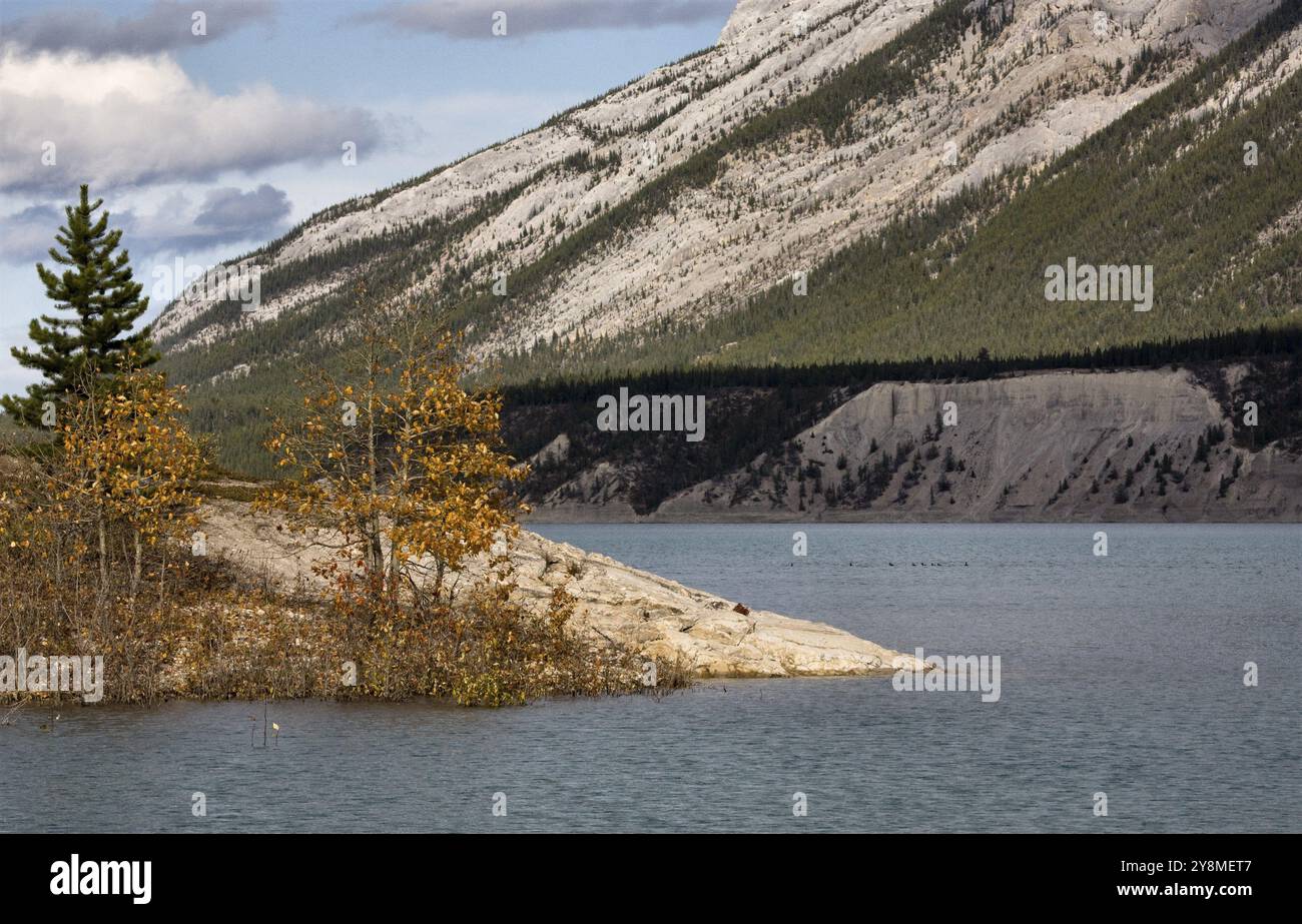 Lake Rocky Mountains Abraham Lake Alberta Canada Stock Photo - Alamy