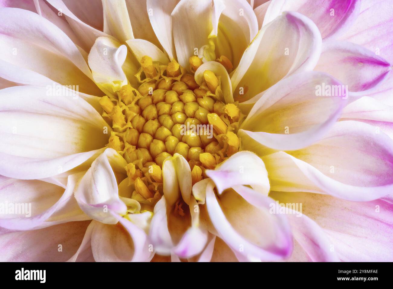 Abstact photos hi-res stock photography and images - Alamy