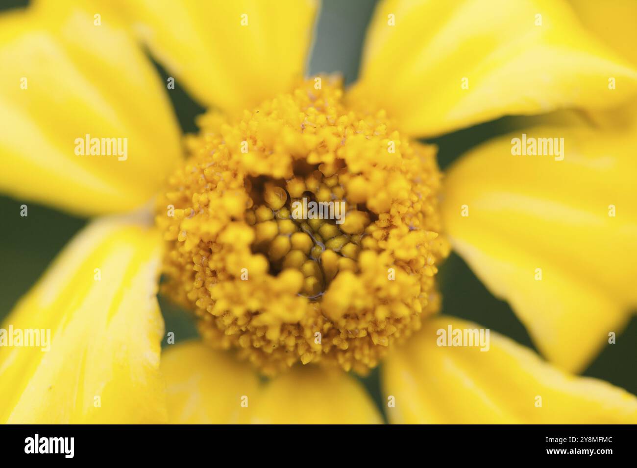 Lens photos hi-res stock photography and images - Alamy