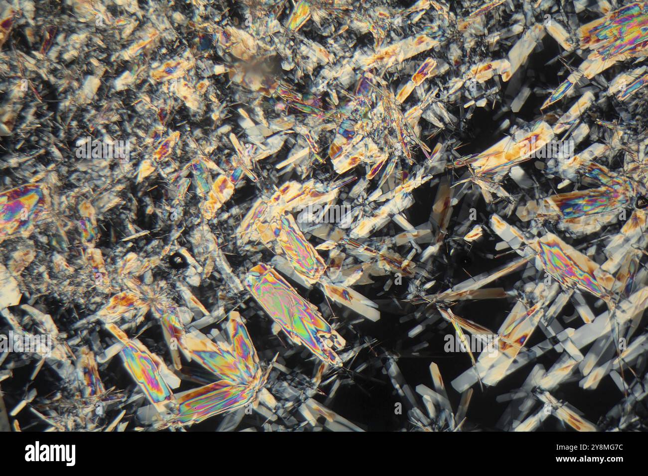 Crystalized honey under the microscope. The crystals are the sugar ...