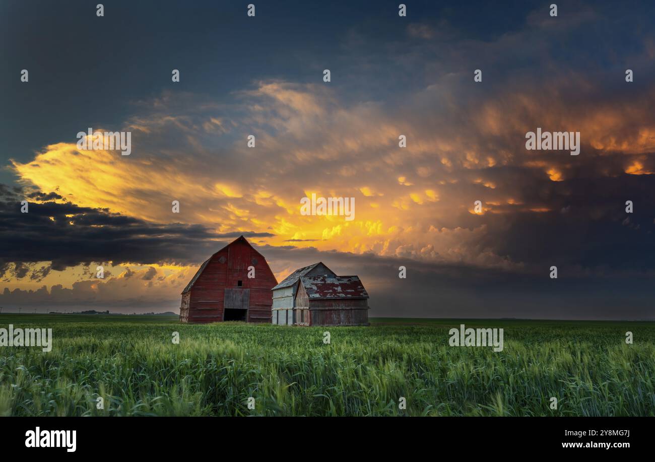 Summer Storms in the Canadian Prairies Dramatic Scenes Stock Photo - Alamy