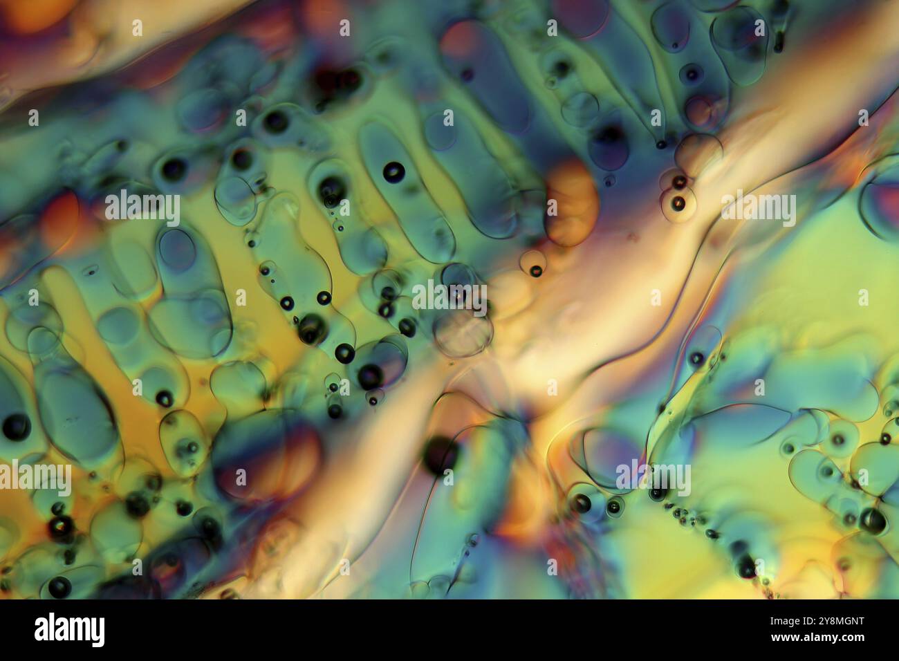Microscopic ice hi-res stock photography and images - Alamy