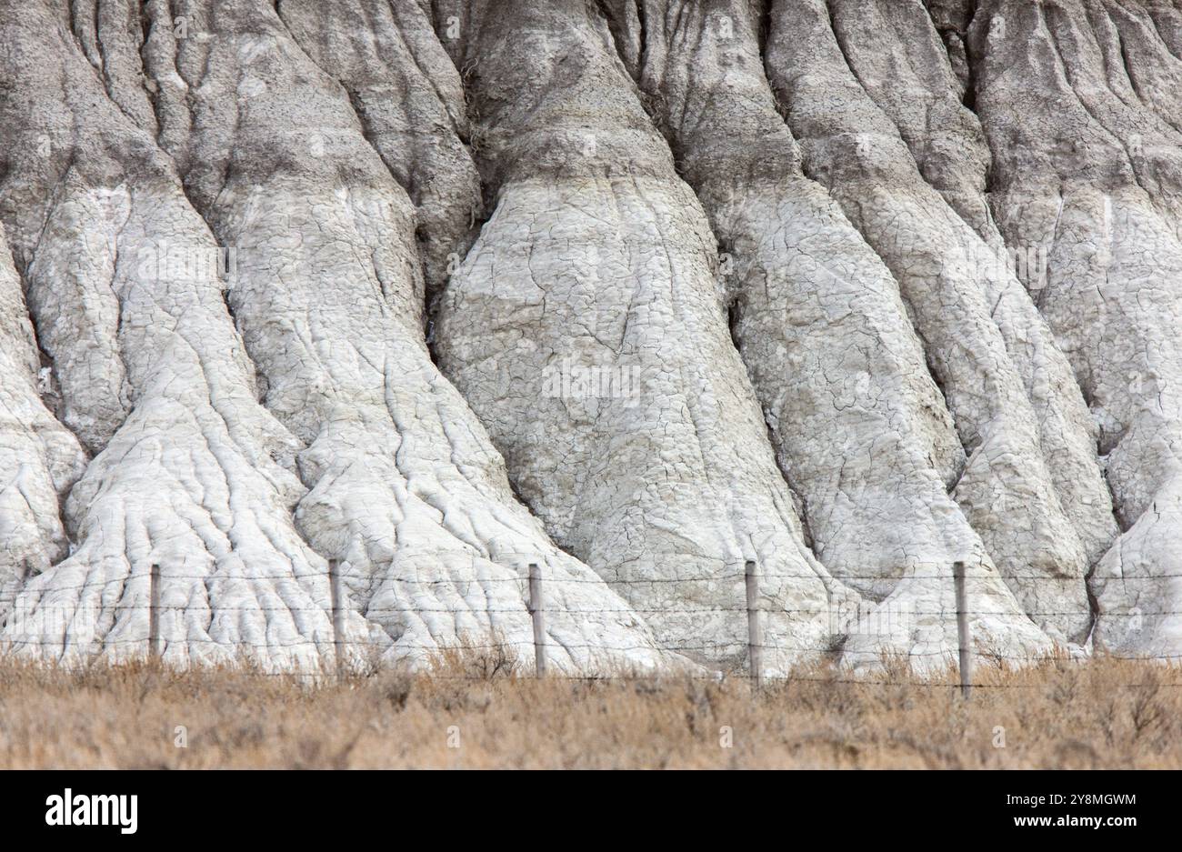Landscape Saskatchewan Prairie Rurual Scene Panorama Beauty Stock Photo ...