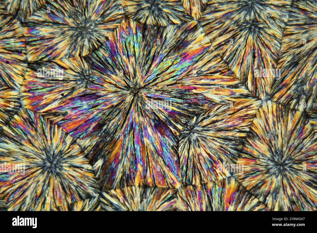 Crystals of metamizole under the microscope. The crystals are ...