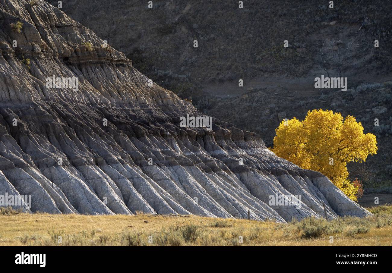 Prairie colors in fall yellow orange trees colorful Stock Photo - Alamy