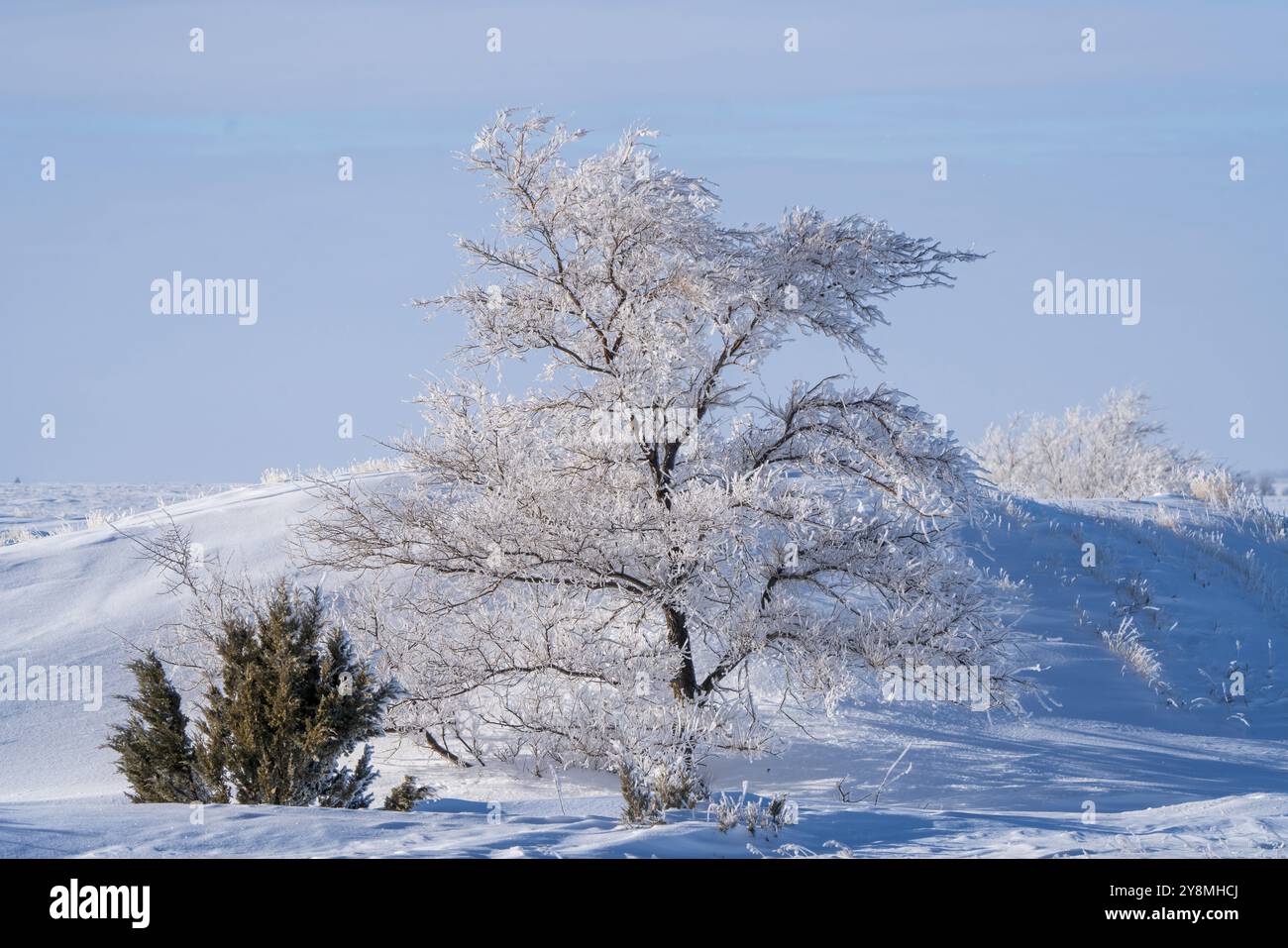 Blizzard [prairies winter storm] hi-res stock photography and images ...