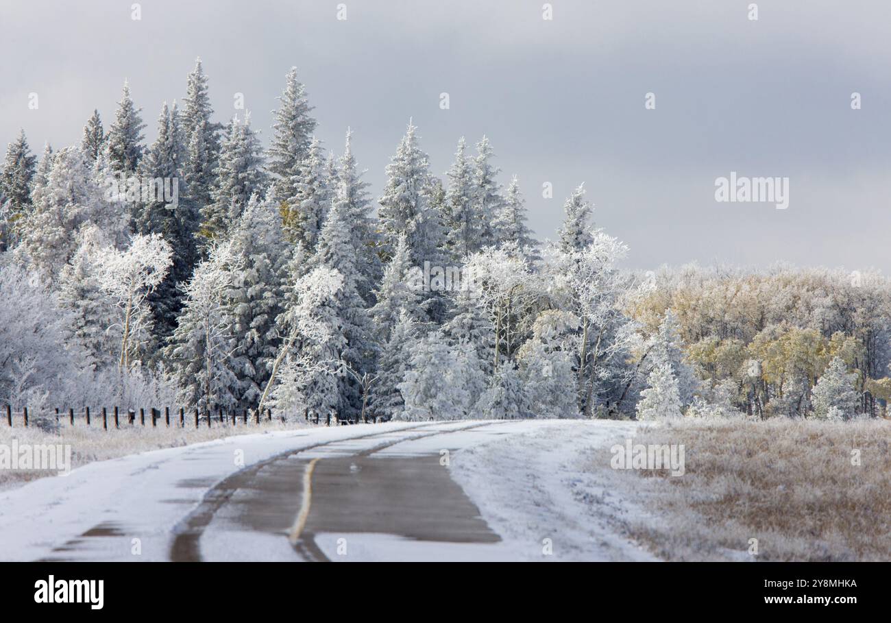Frosty snowfall hi-res stock photography and images - Alamy