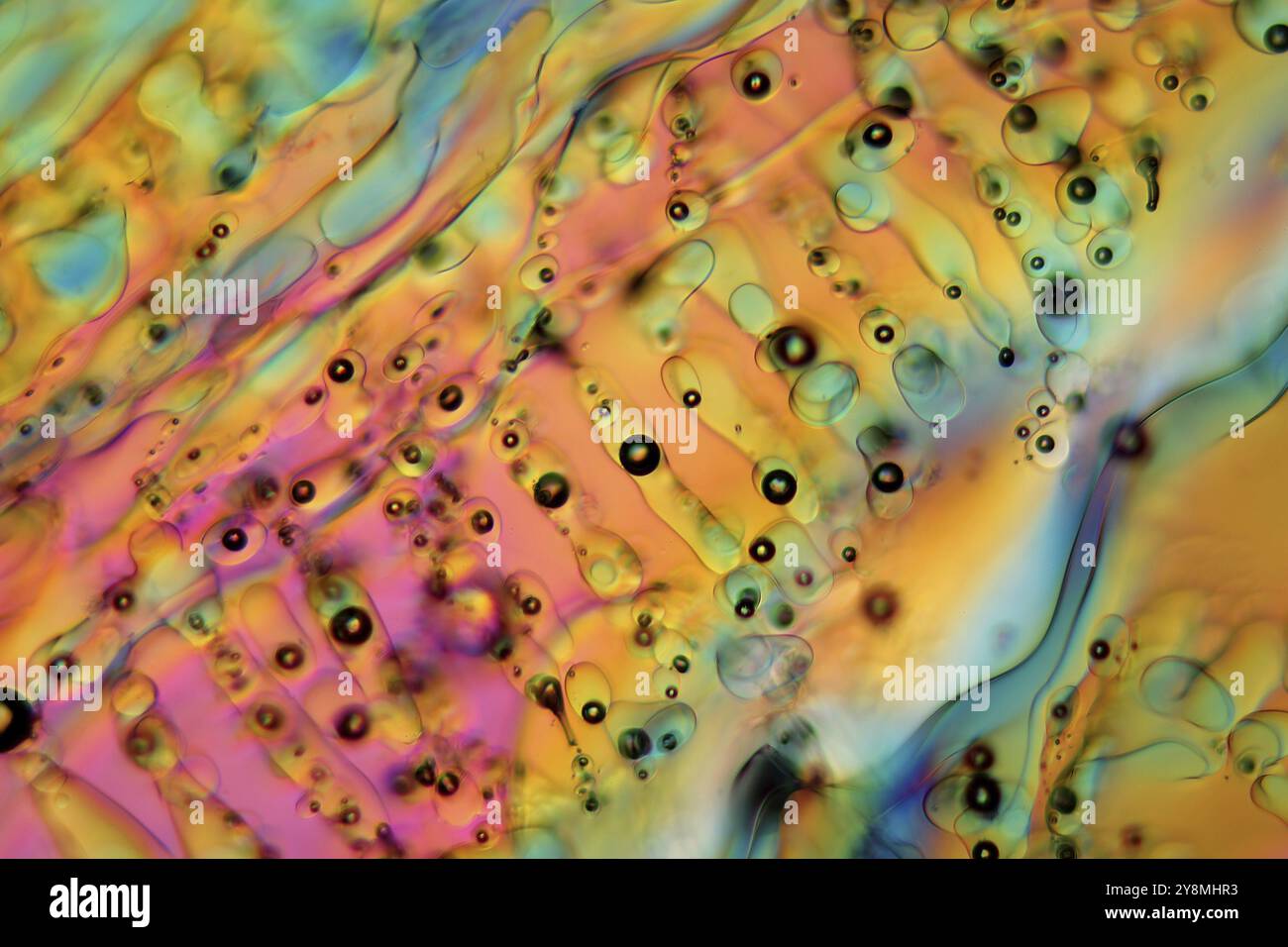 Ice crystals under the microscope and in polarised light Stock Photo ...