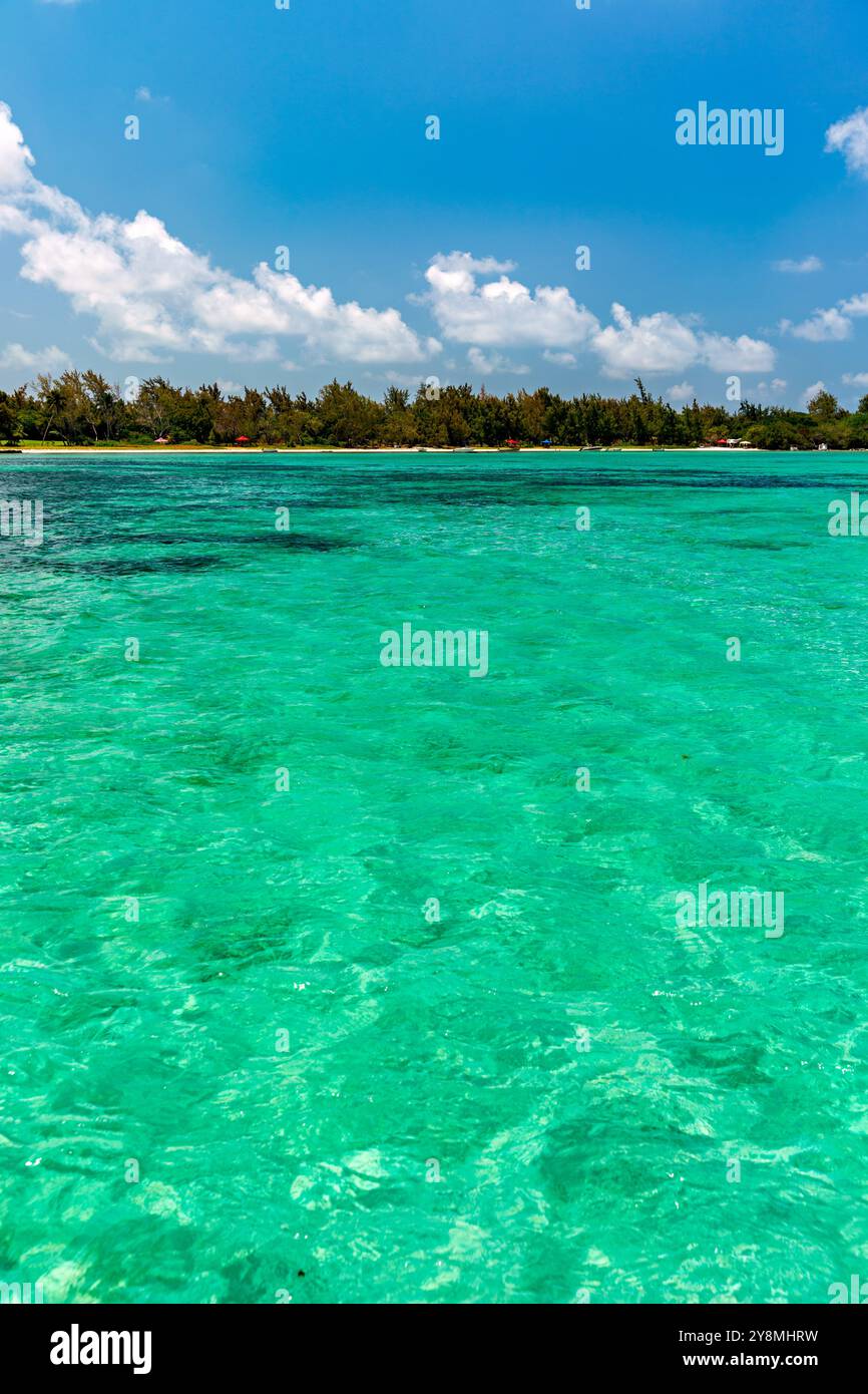 Water surface in vibrant green. View of a crystal clear sea water ...