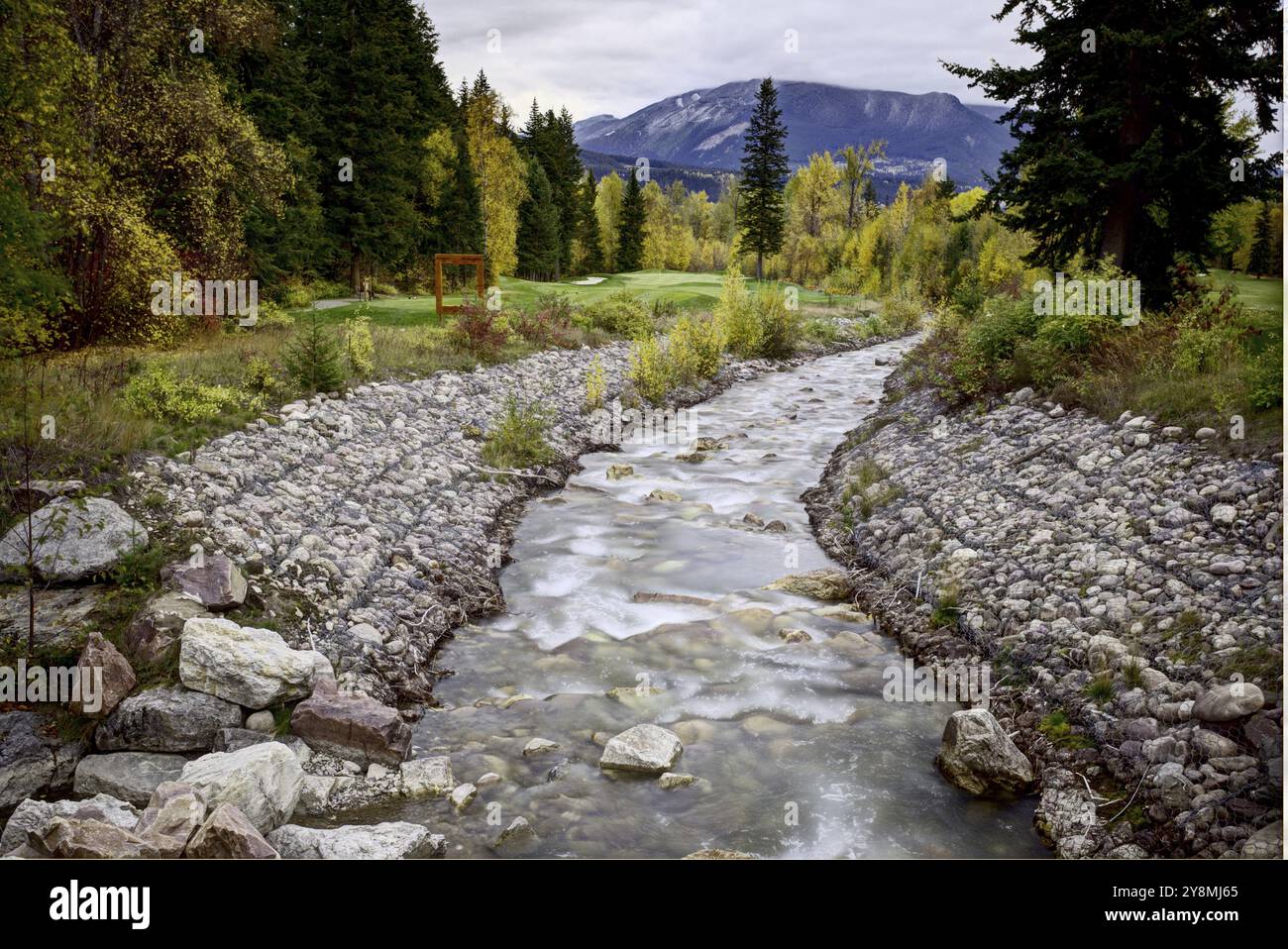 Golden British Columbia Kicking Horse Country stream Stock Photo - Alamy
