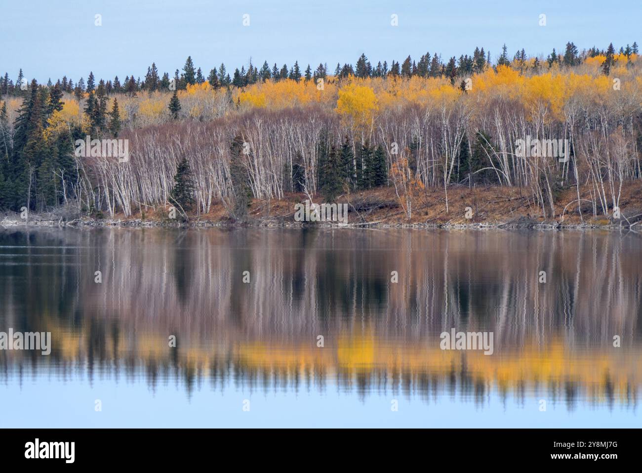 Fall foliage orange colors in the Canadian Prairies Stock Photo - Alamy