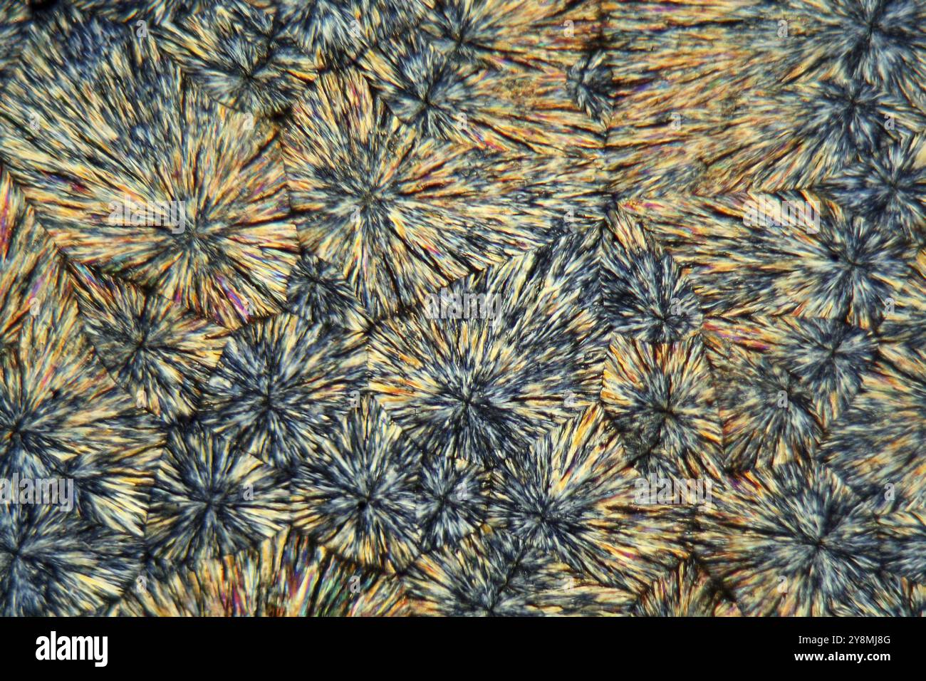 Crystals of metamizole under the microscope. The crystals are ...
