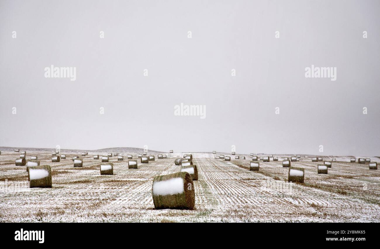 Harvesting hay for the winter hi-res stock photography and images - Alamy