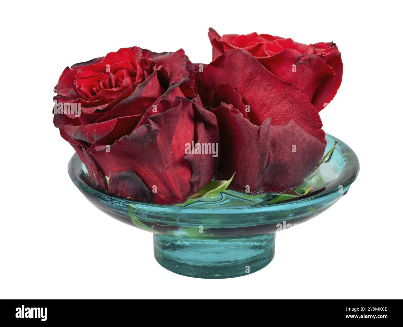 Isolated withered red rose blossoms in a glass bowl Stock Photo - Alamy