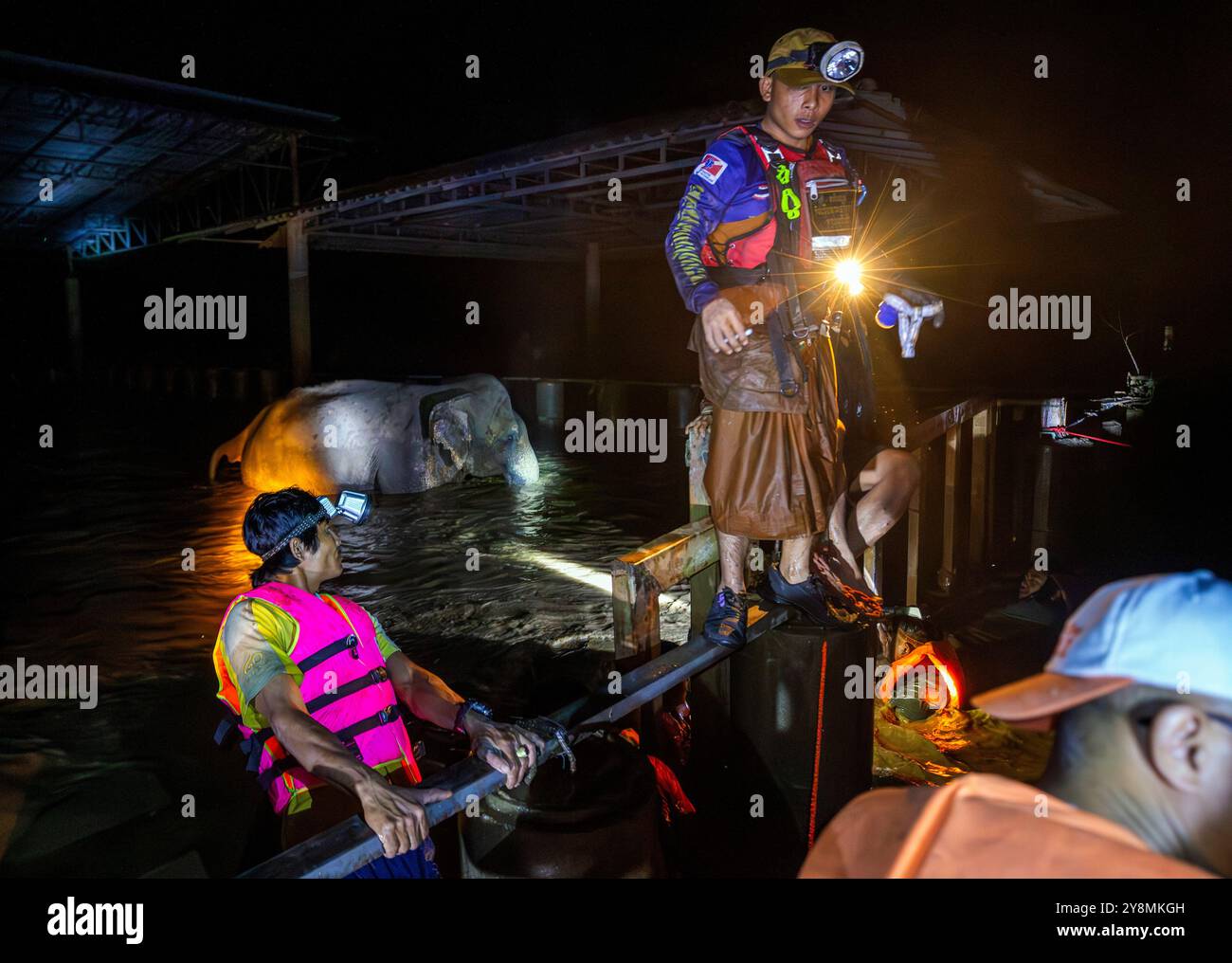 Chiang Mai, Thailand. 04th Oct, 2024. Staff members and rescue volunteers are seen helping an ...